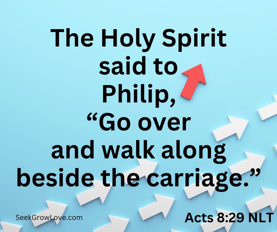 Step by Step – Seek Grow Love