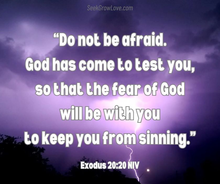 The Big Ten – Seek Grow Love