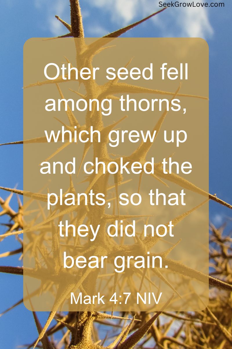 Watch Out for Those Thorns! – Seek Grow Love