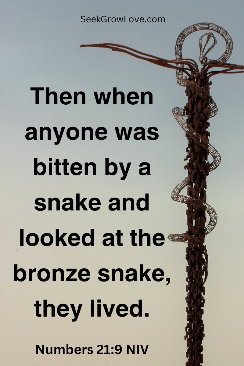 Surviving a Deadly Plague of Snakes – SeekGrowLove.com