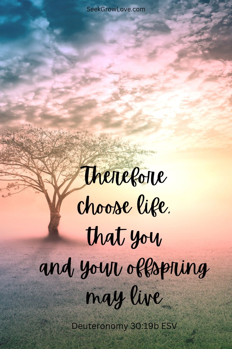 Choose Life – Seek Grow Love