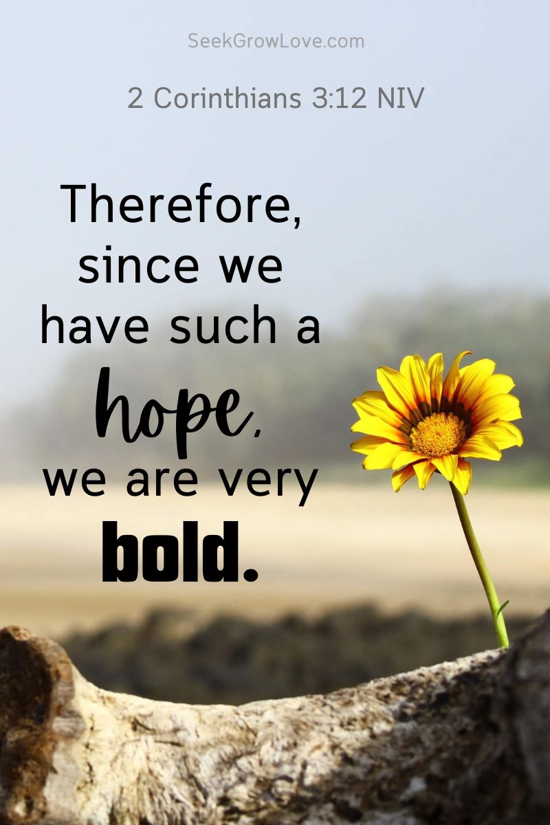 A Hope that Makes You Bold – Seek Grow Love