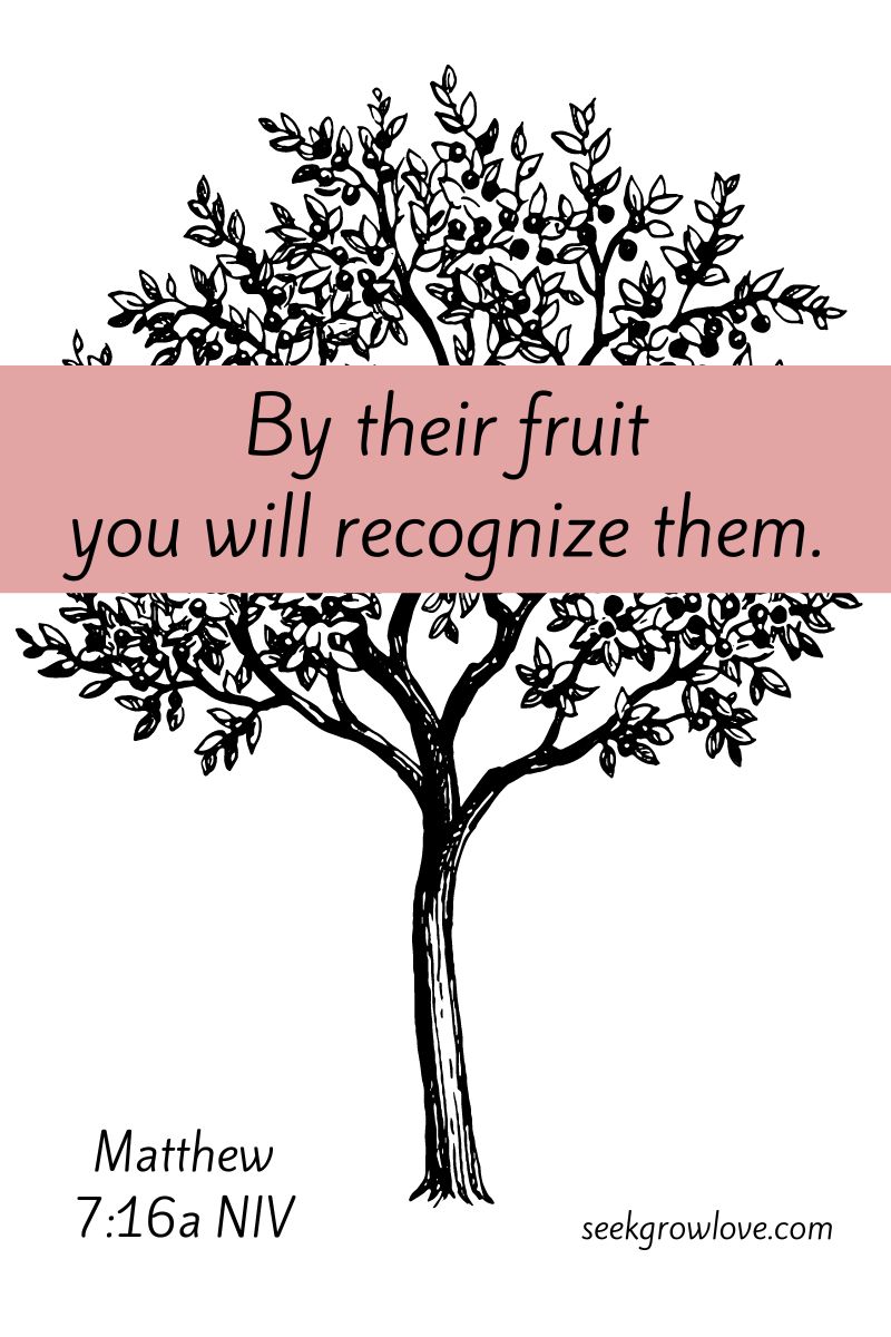 Recognized by Your Fruit – Seek Grow Love