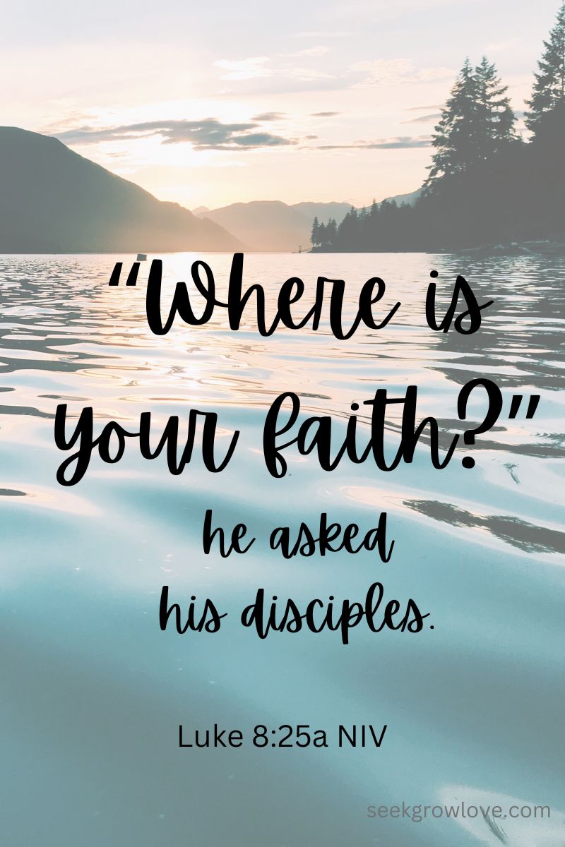 SeekGrowLove.com – Growing Throughout the Year