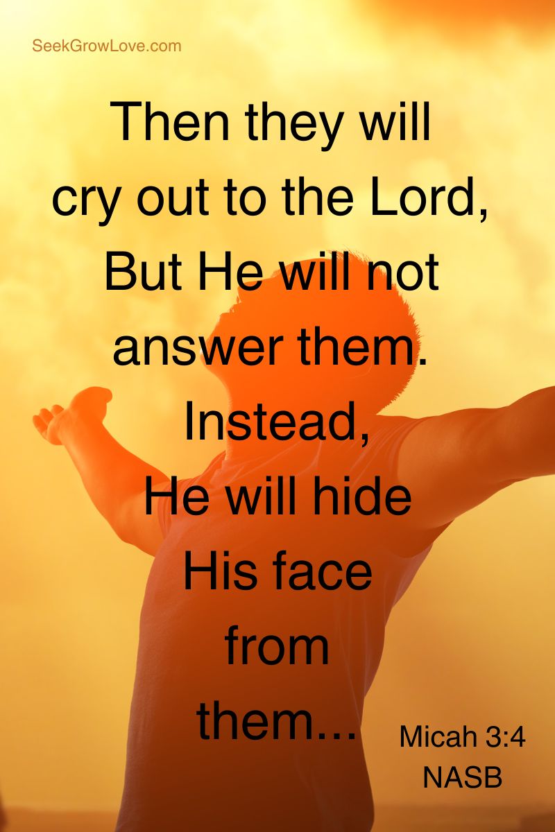 When He Hides His Face – Seek Grow Love