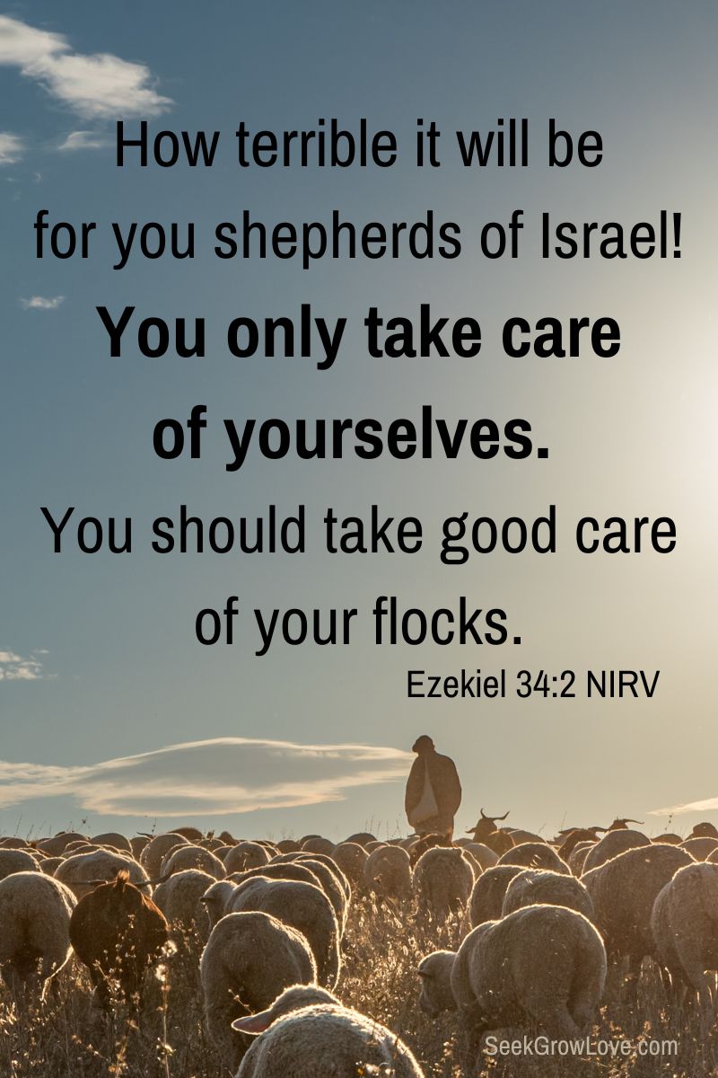 Sheep Care – Seek Grow Love