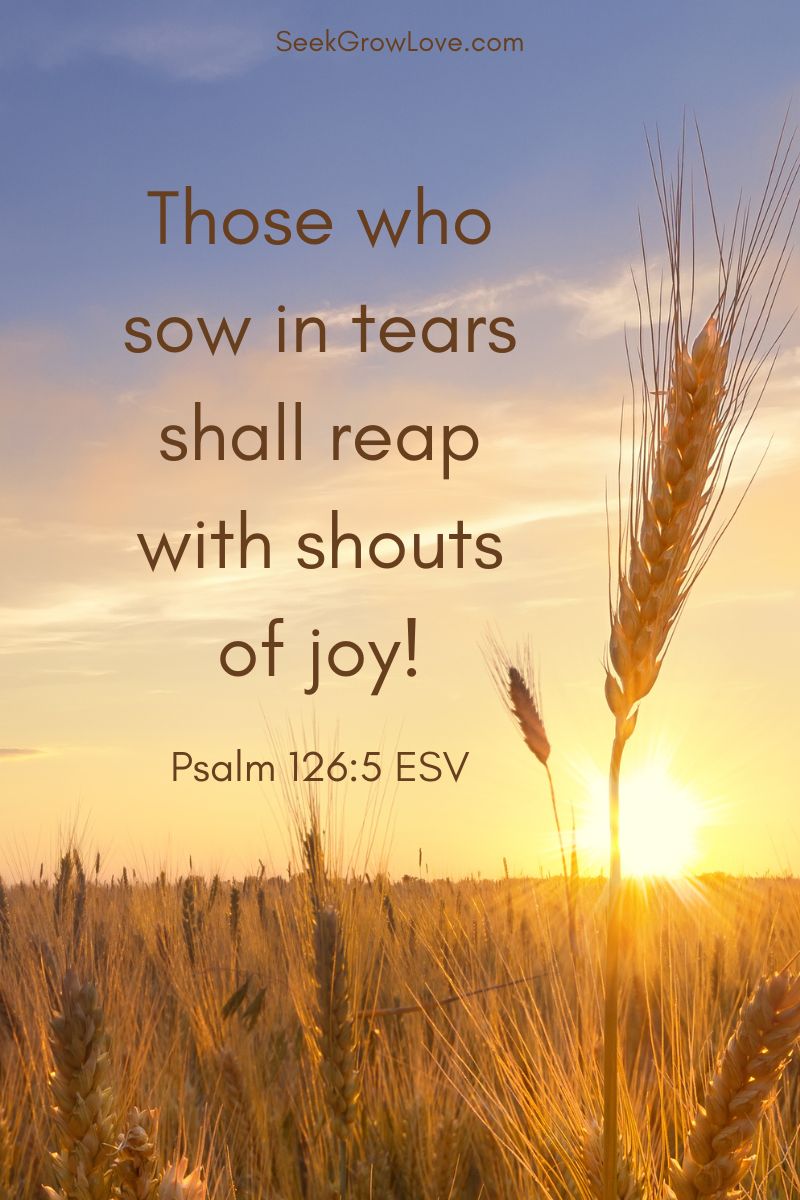 Sowing and Reaping – Seek Grow Love