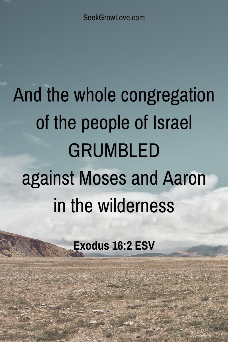 Complaint Free Zone – Seek Grow Love