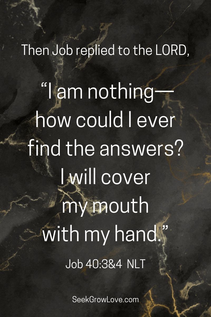 I Am Nothing – Seek Grow Love