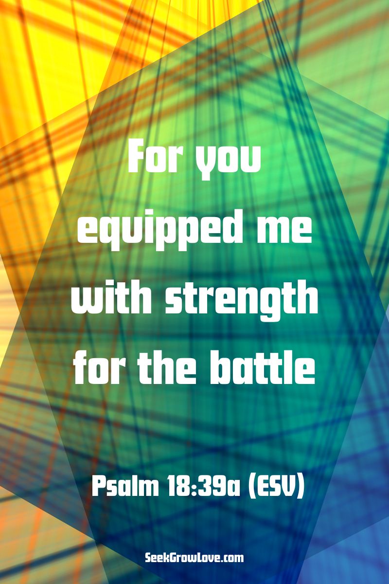 A Good Day – Seek Grow Love