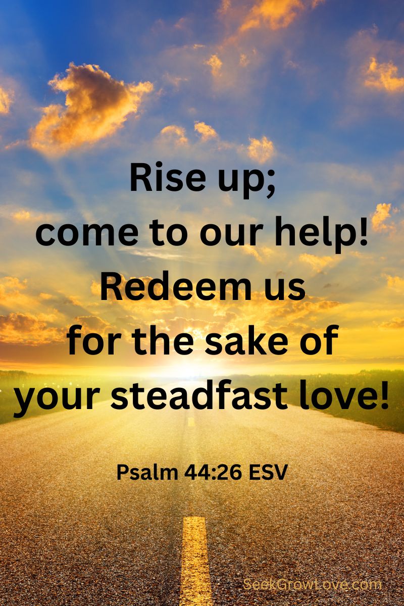Rise Up! – Seek Grow Love