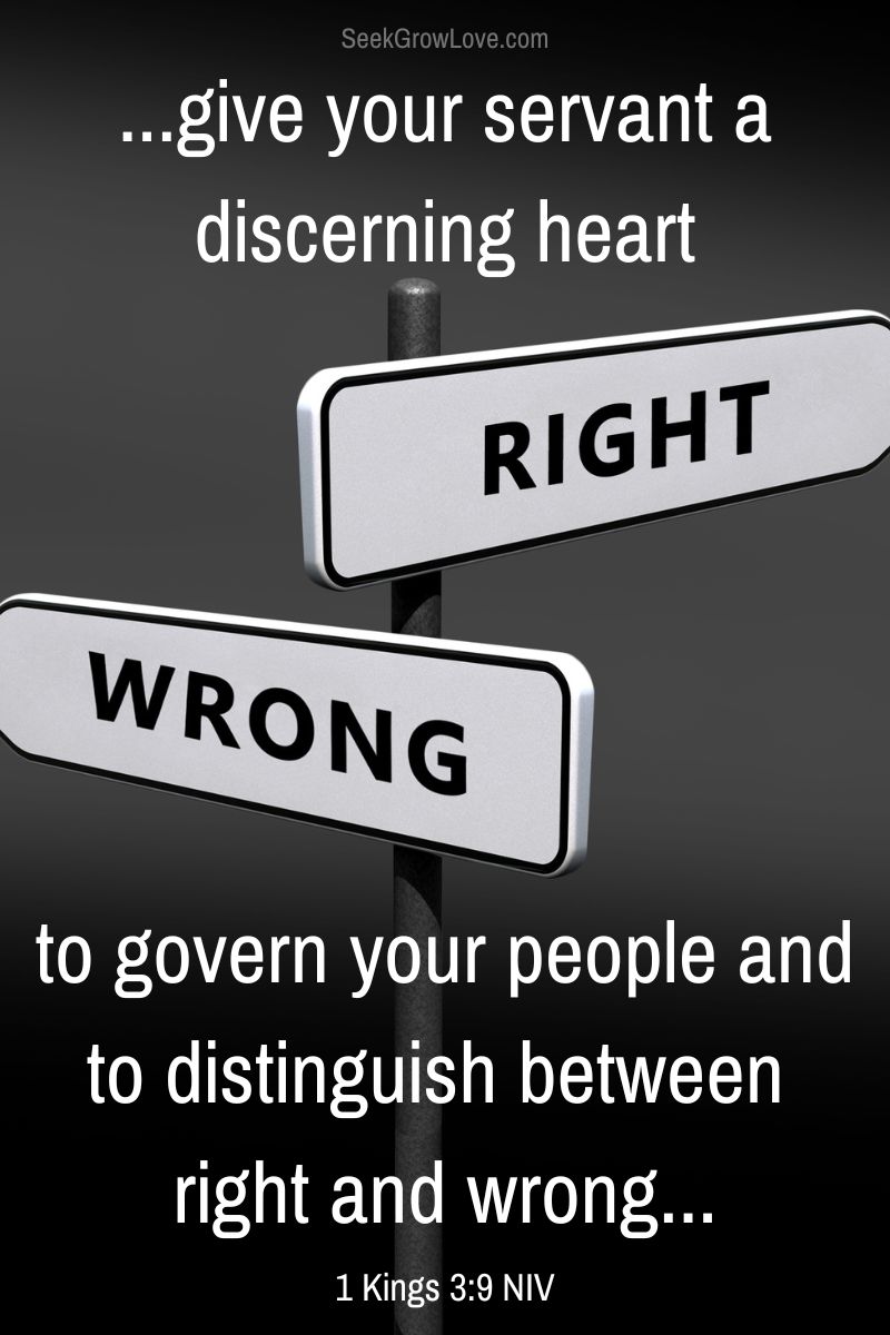 A Discerning Heart – Seek Grow Love