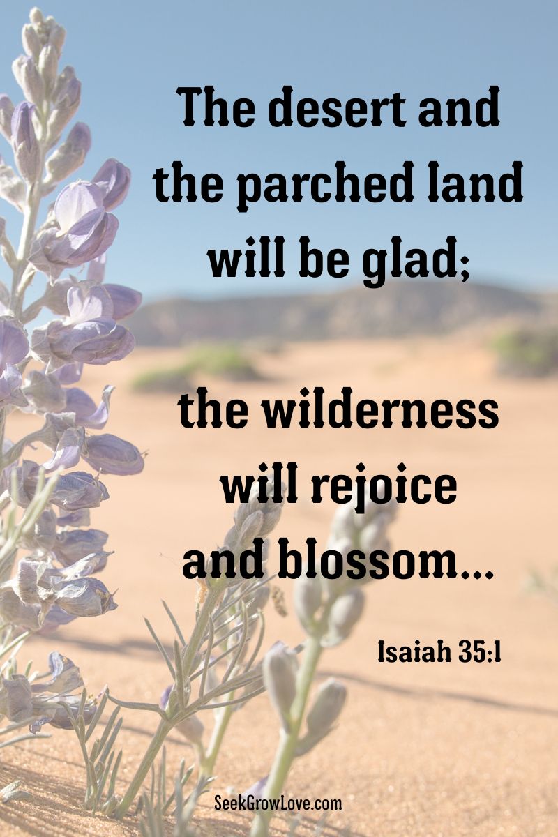 Desert Seasons – Seek Grow Love