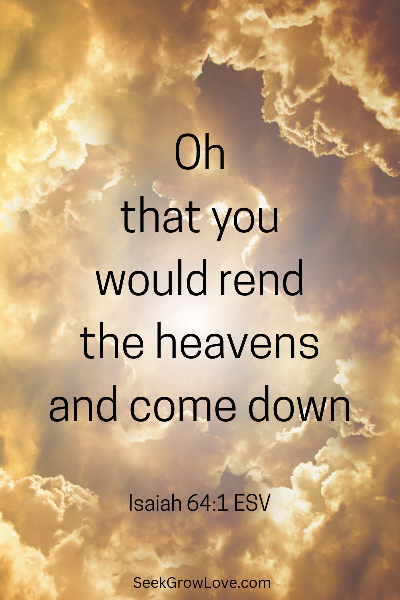 All Things New! – Seek Grow Love