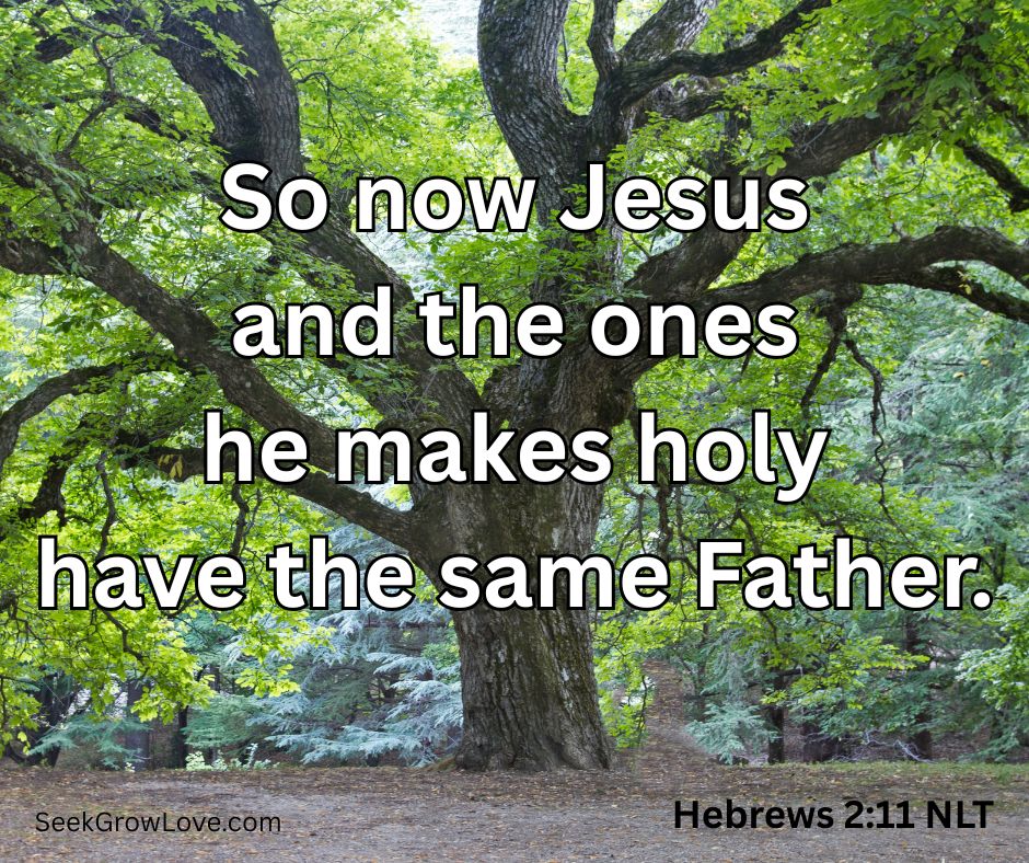 The Perfect Son of Man – Seek Grow Love